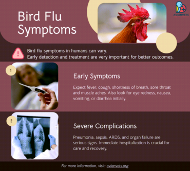 Is Bird Flu Deadly, and Can Humans Get It? - AvianVets.org
